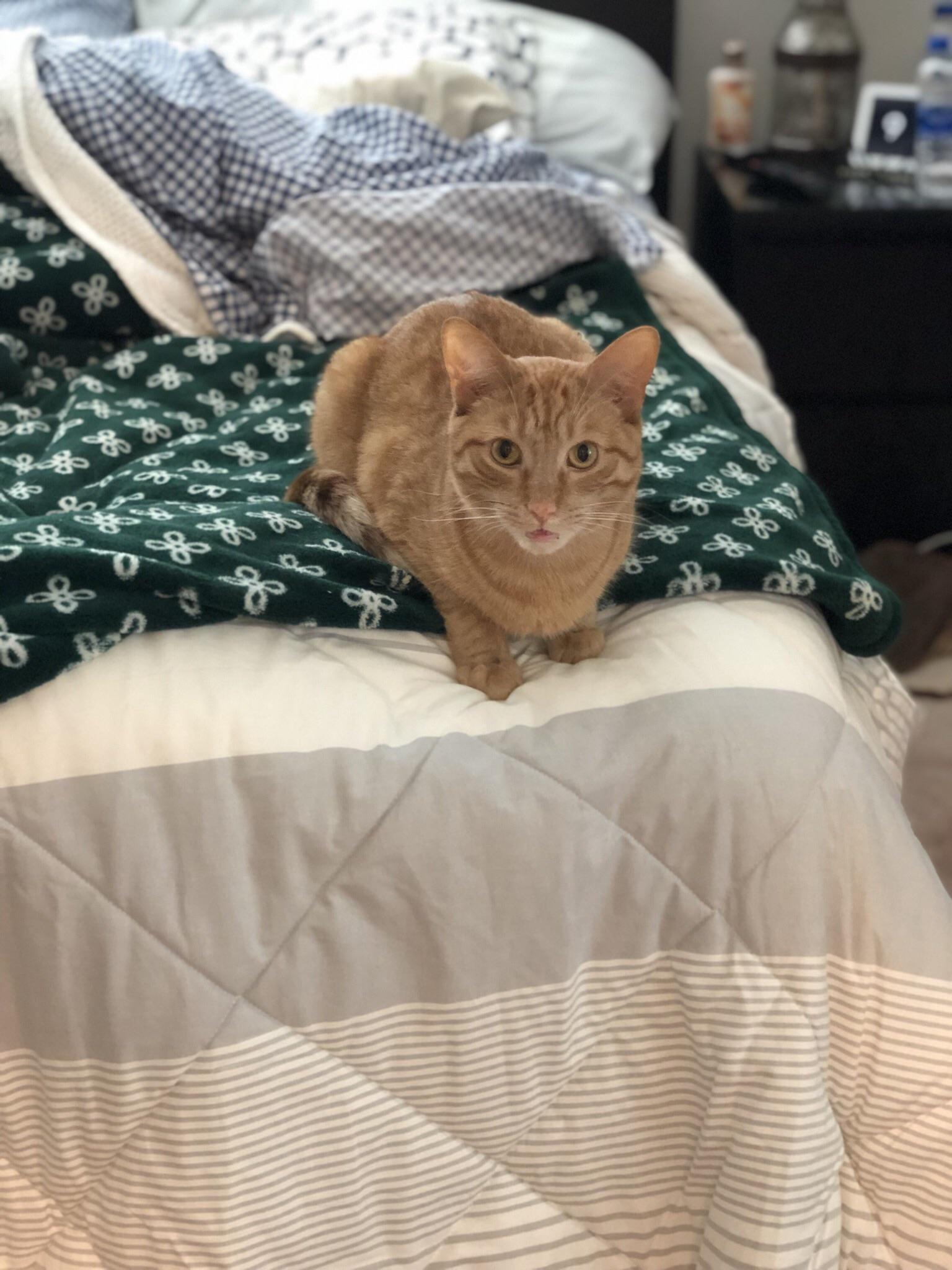 Sweet Len 💙 | Scrolller