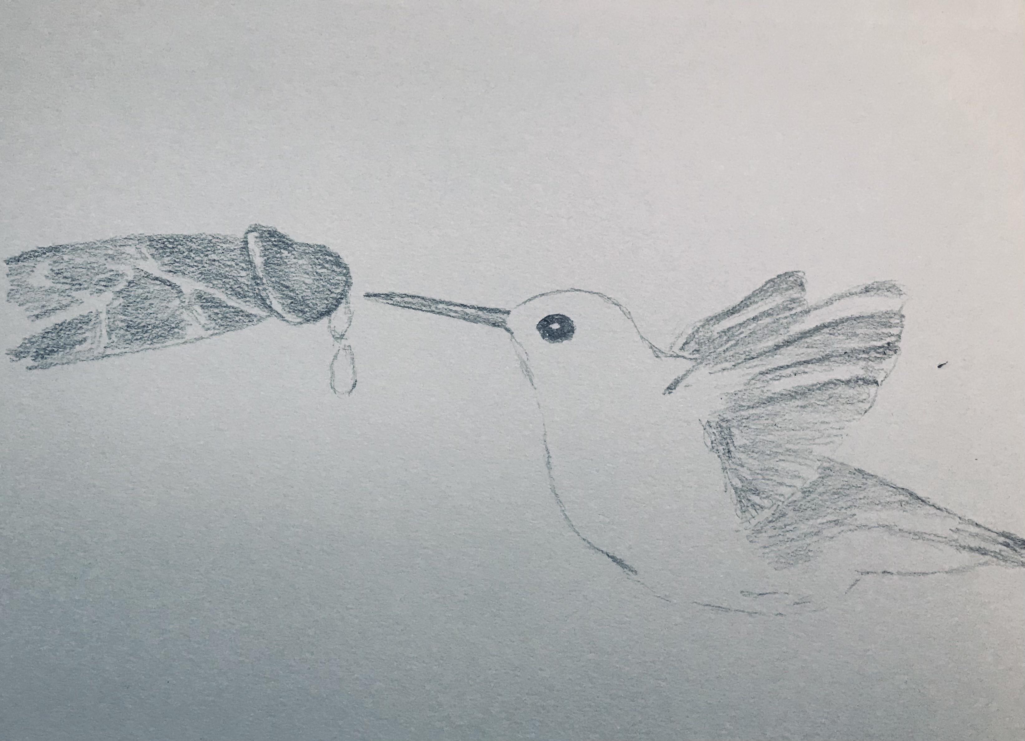 Sweet Nectar | Scrolller