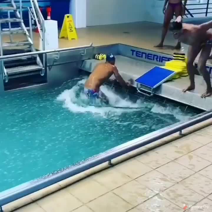 Swimming upstream | Scrolller