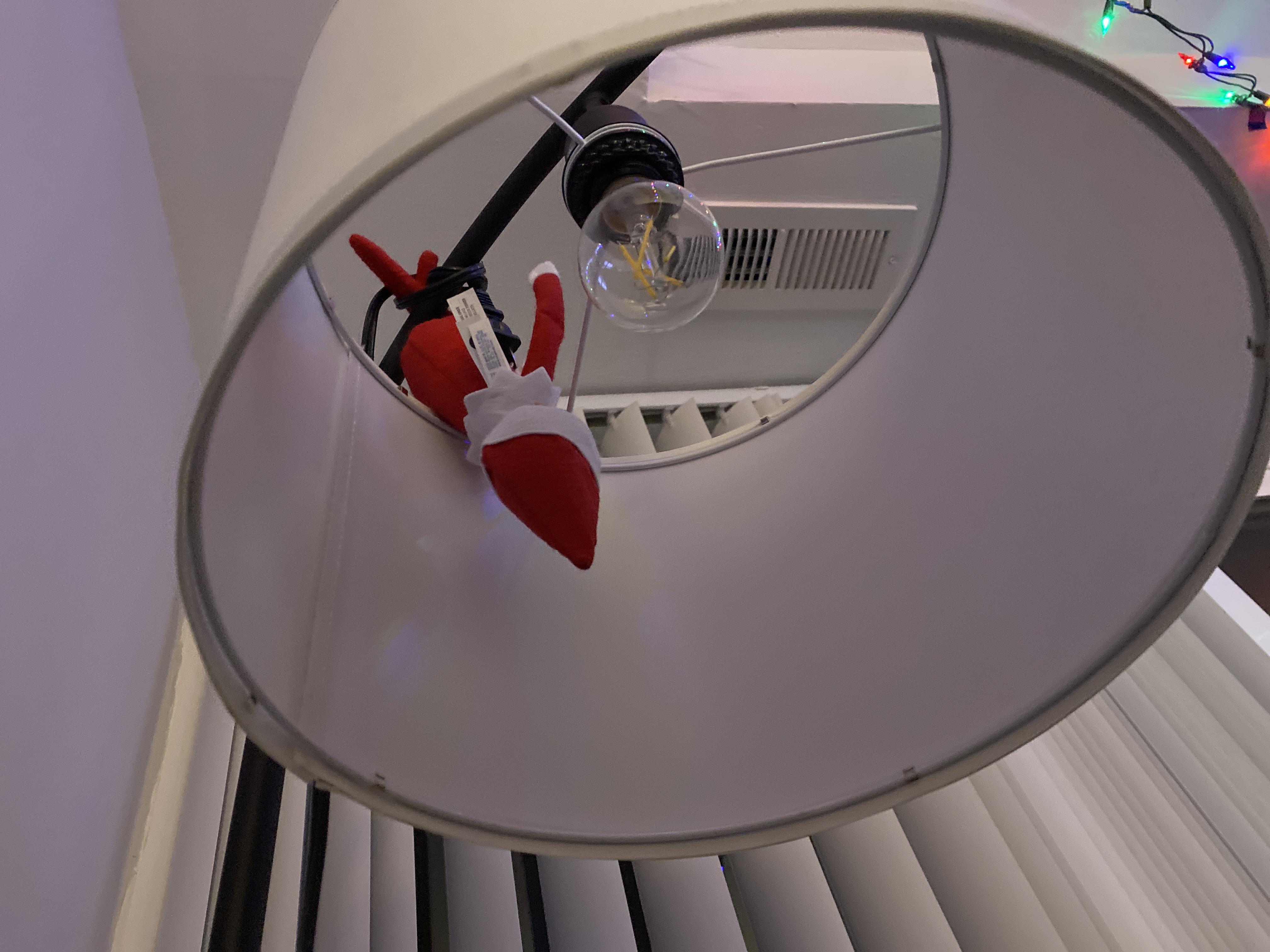 Swing from a laaaaaaaaaaaamp | Scrolller