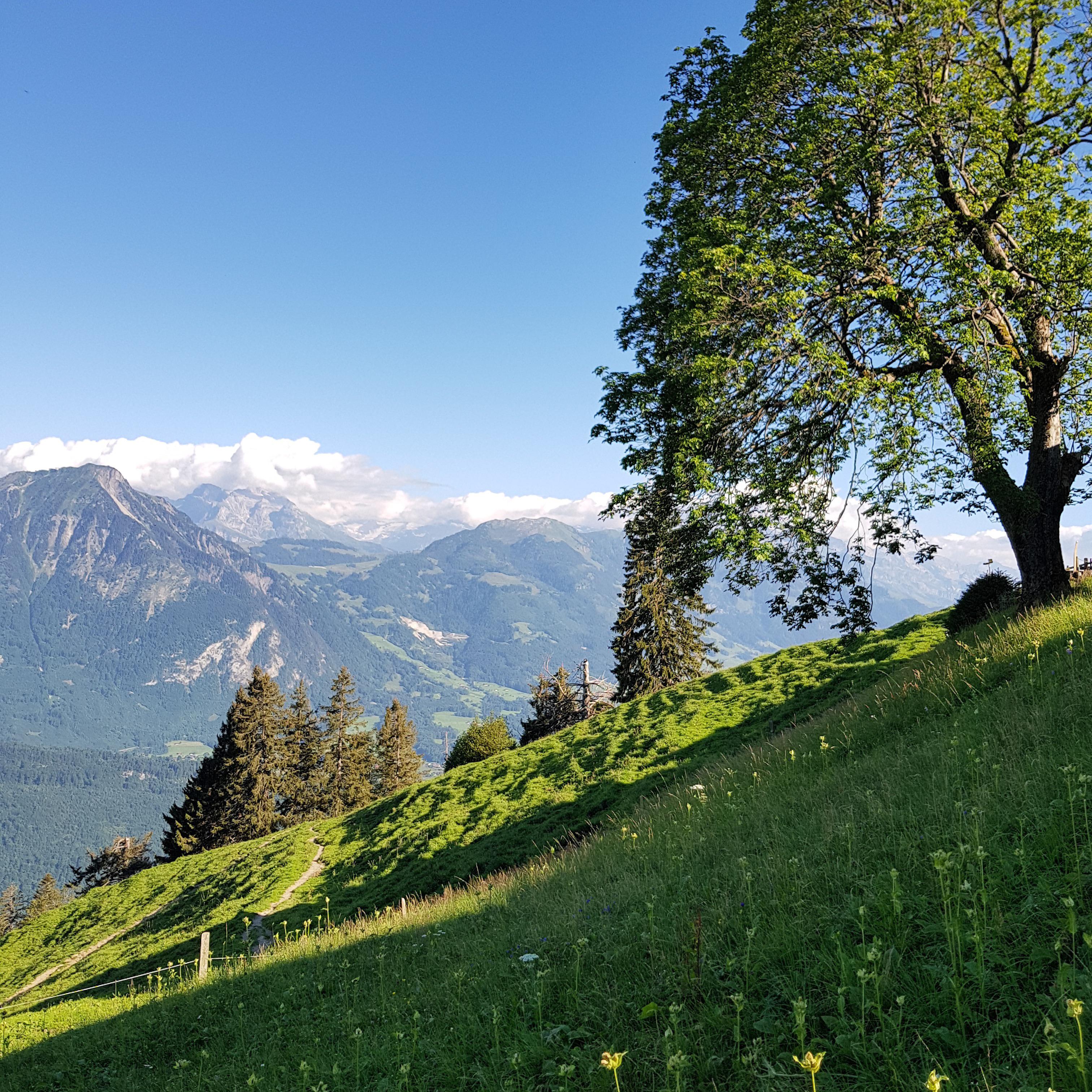 Swiss alps | Scrolller