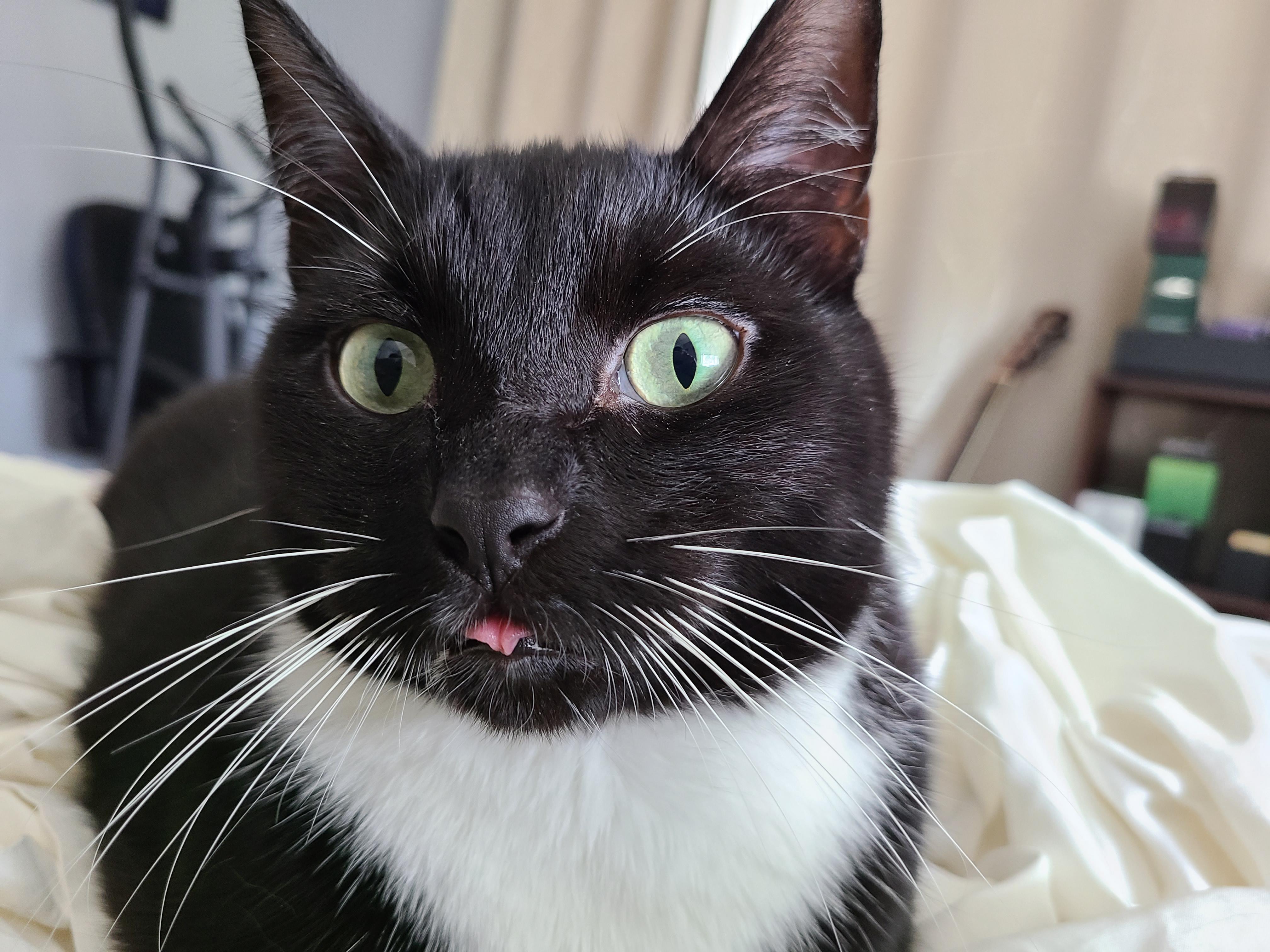 Taco Tuesday 🌮 Hey girl... | Scrolller