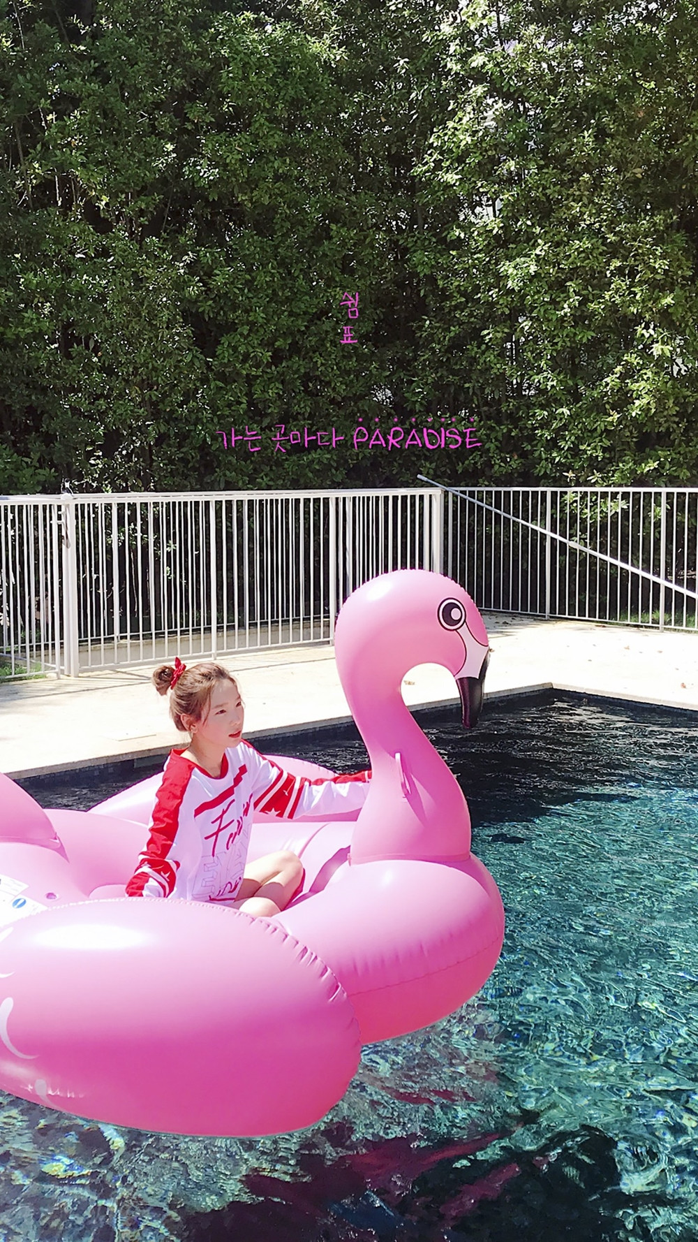 Taeyeon & Pink Flamingo | Scrolller
