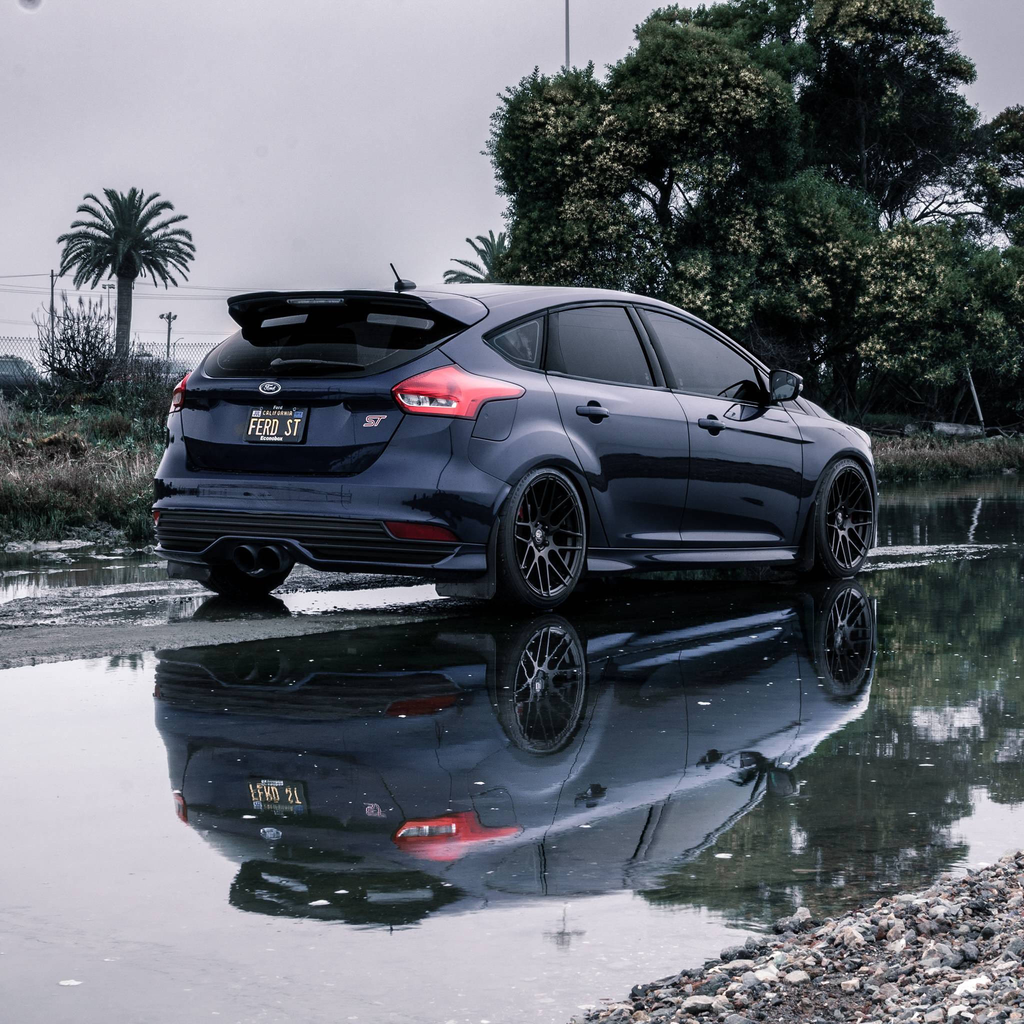 Tail End Tuesday | Scrolller