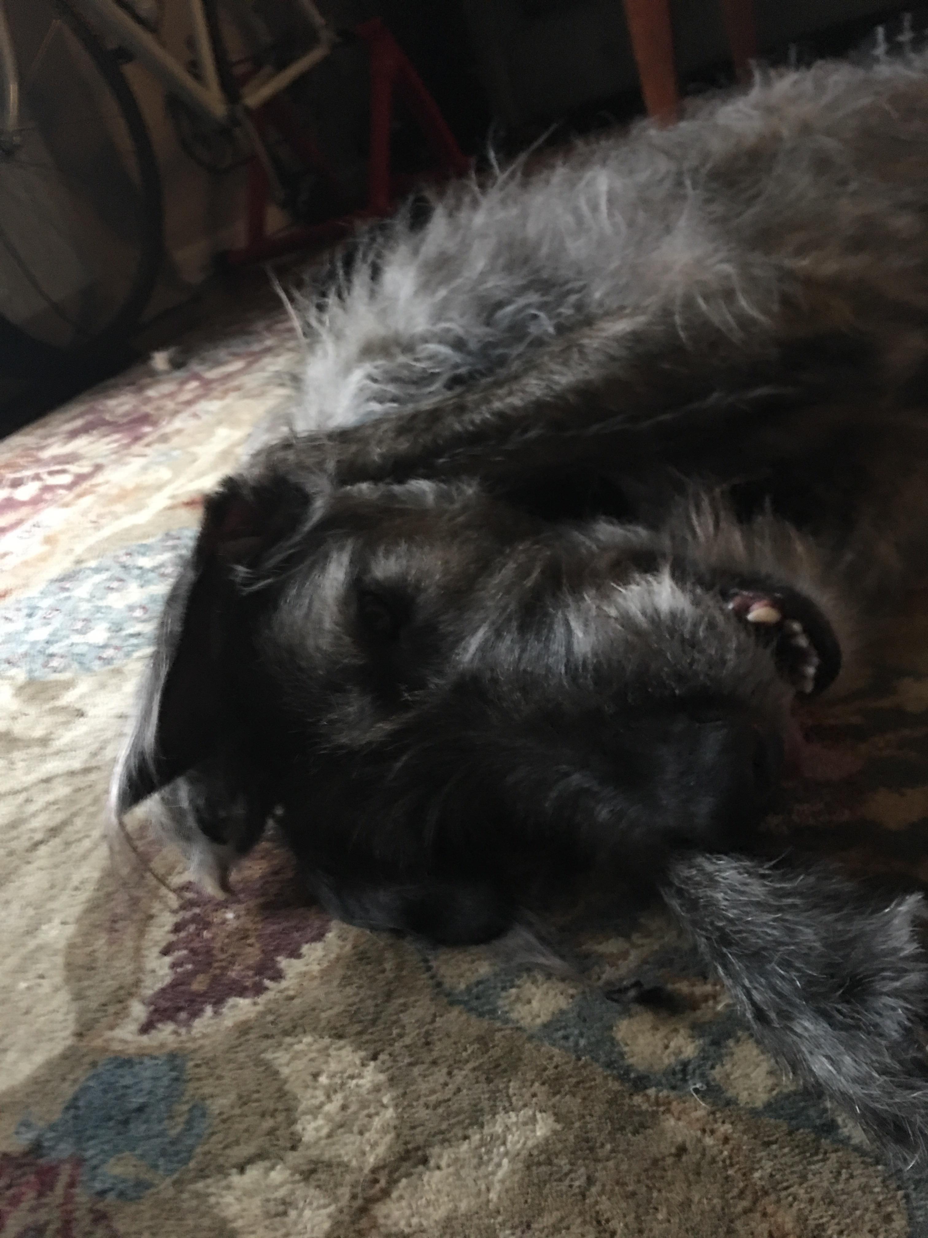 Take cover! | Scrolller