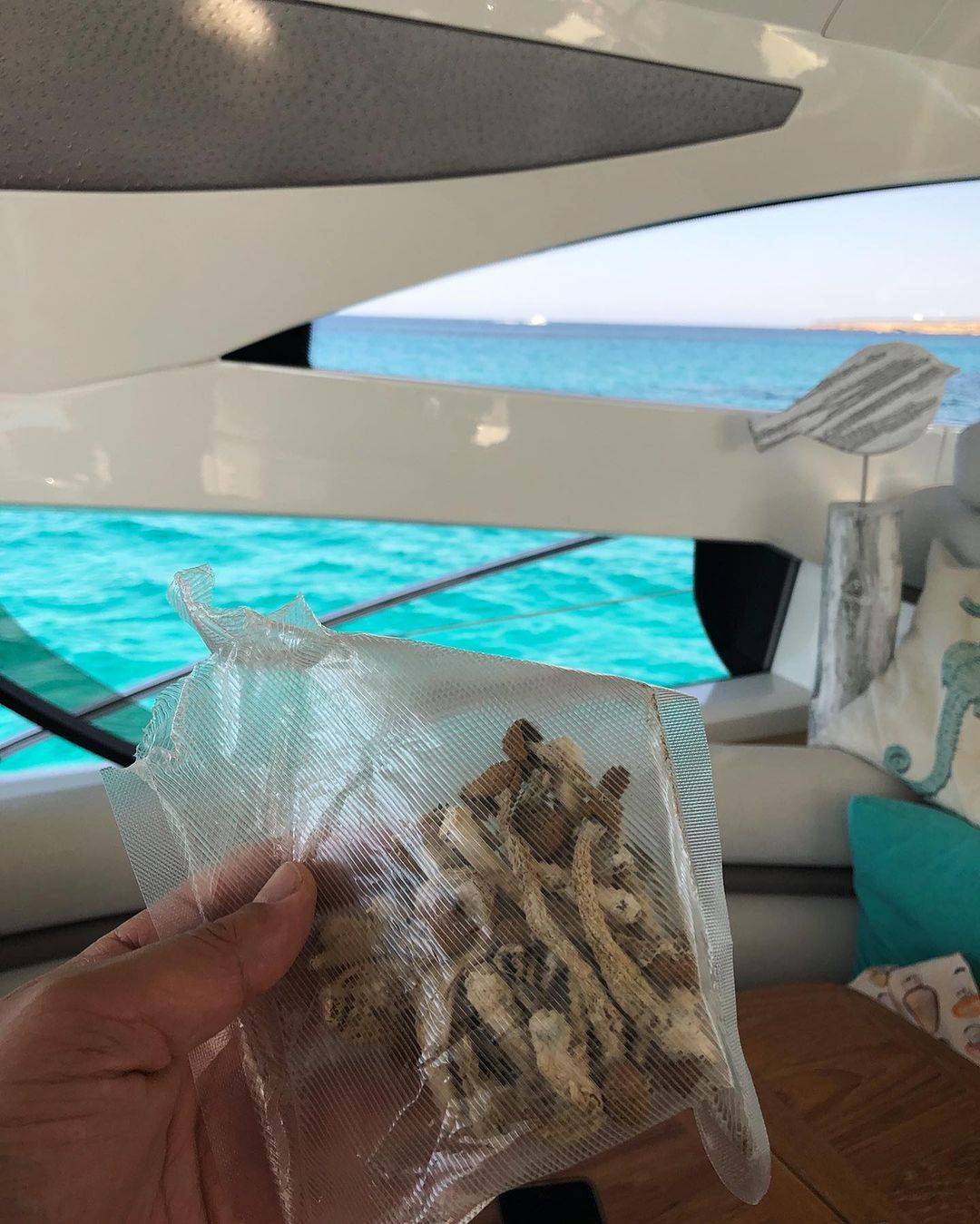 Take me back to ibiza | Scrolller