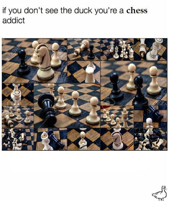 Take This Test And Find Out If You Are Addicted Scrolller