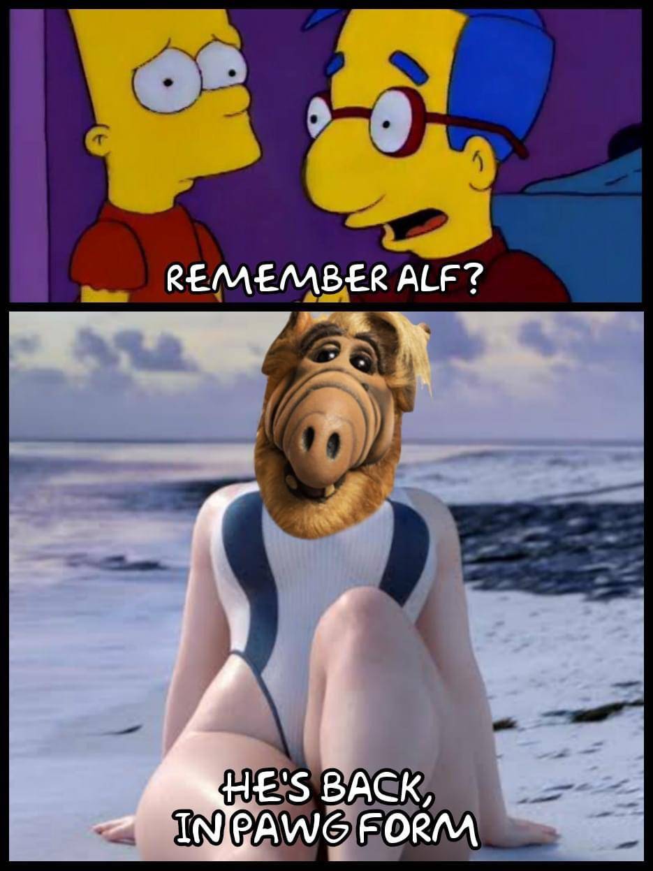 Taken from a Simpsons shitposting group | Scrolller