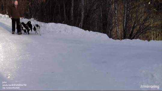 Taking a wrong turn | Scrolller