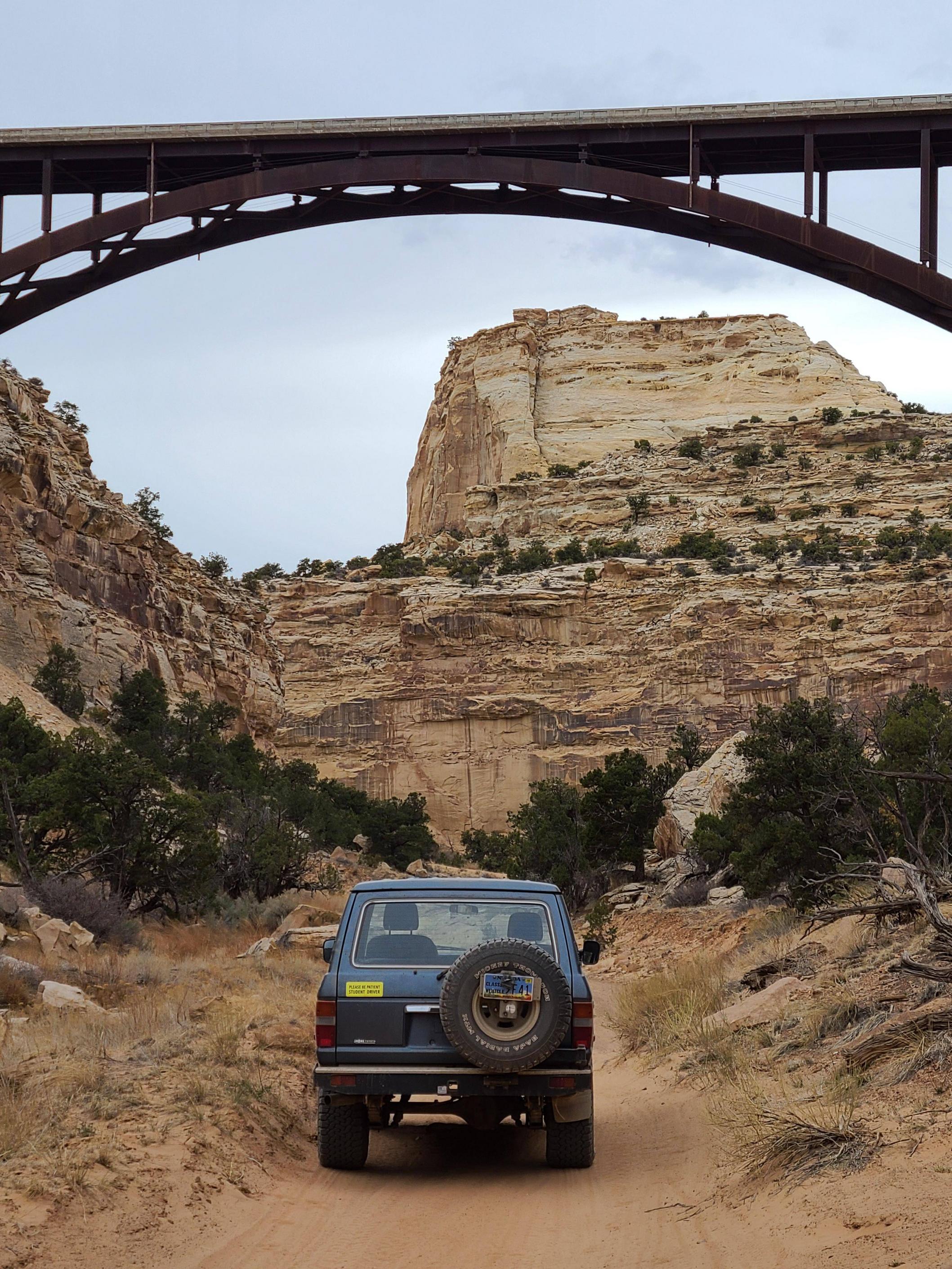 Taking the low road | Scrolller