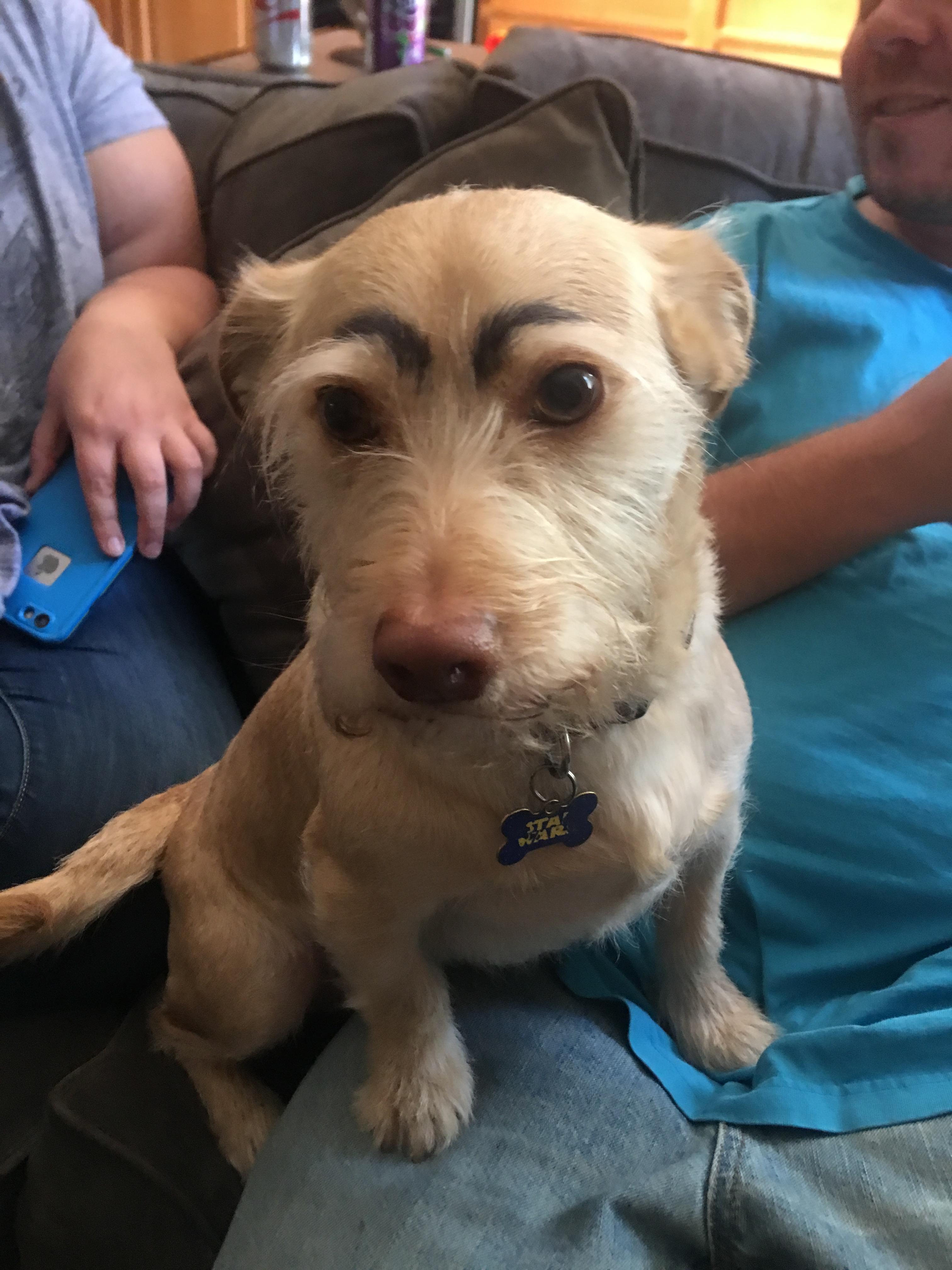 Tater looking sharp(ie) | Scrolller