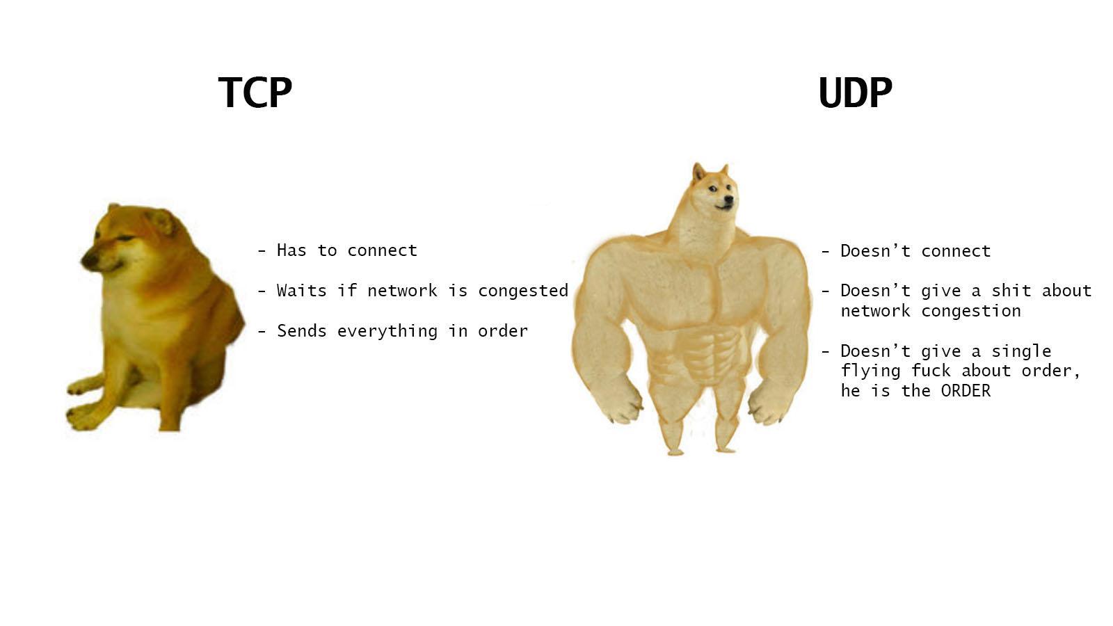 TCP Cheems vs UDP Buff Doge | Scrolller