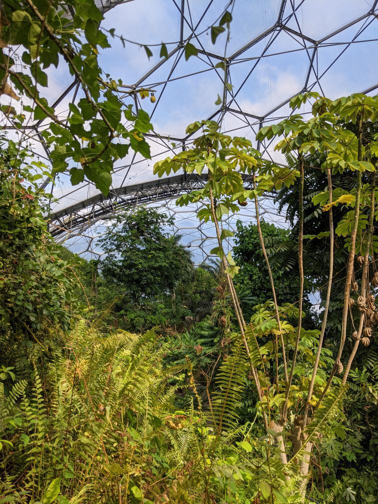 Technically an indoor garden | Scrolller