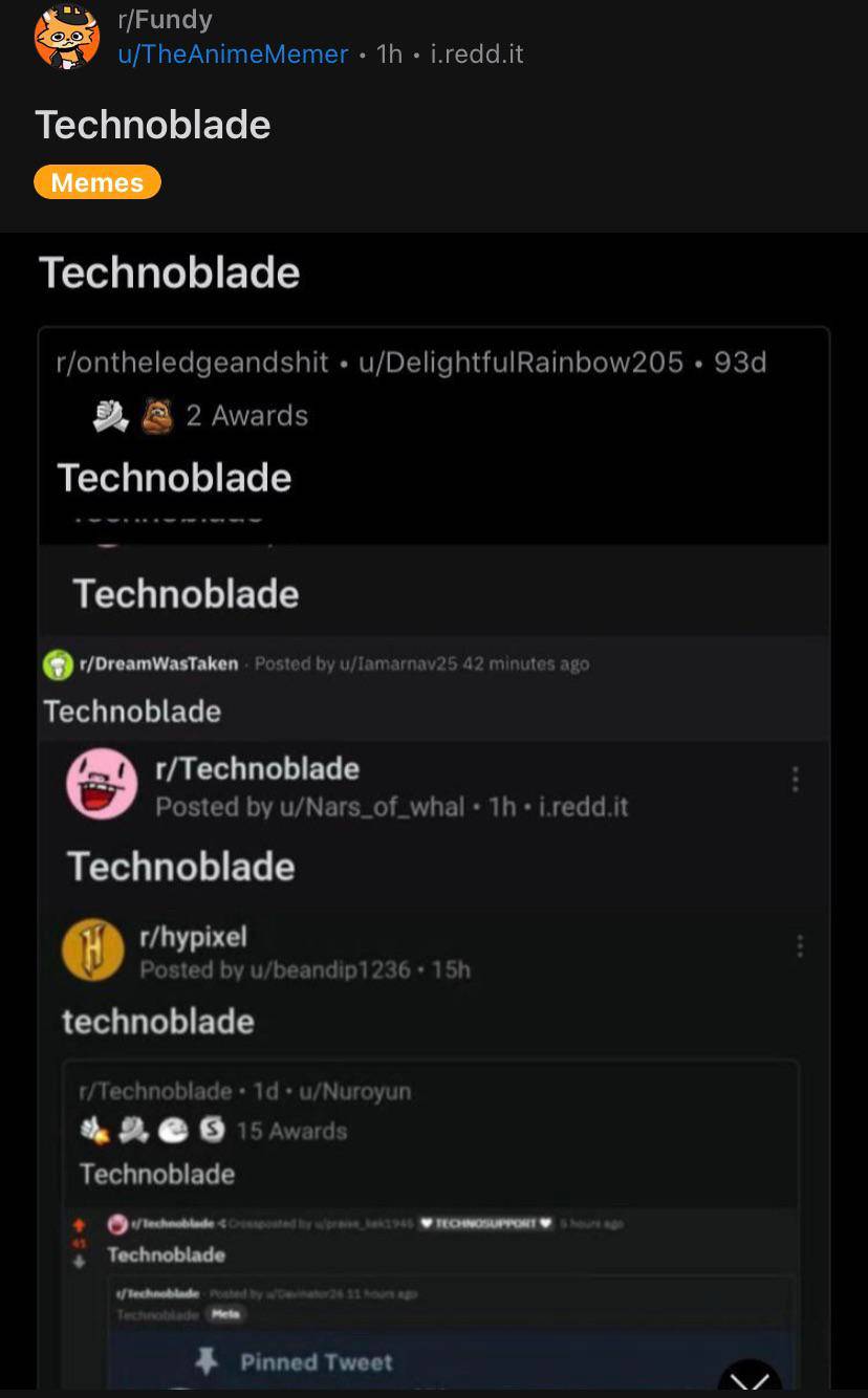 Technoblade | Scrolller