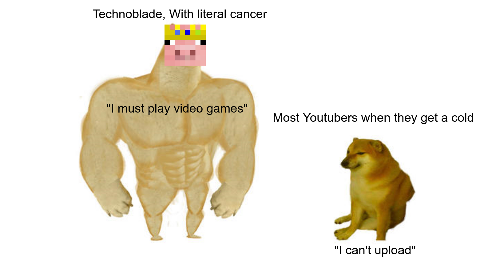 TECHNOBLADE NEVER DIES! | Scrolller