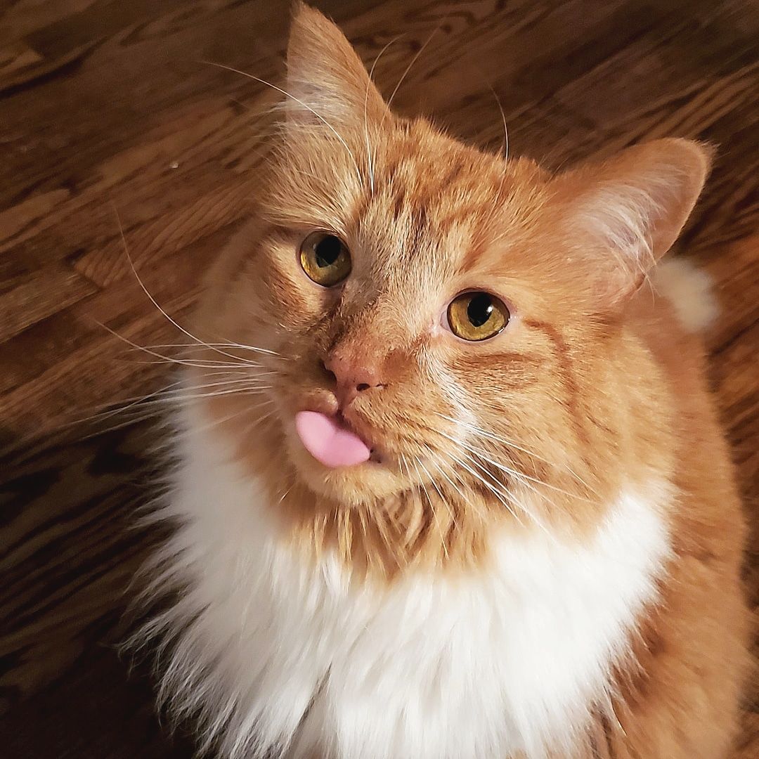 Ted 😋 | Scrolller