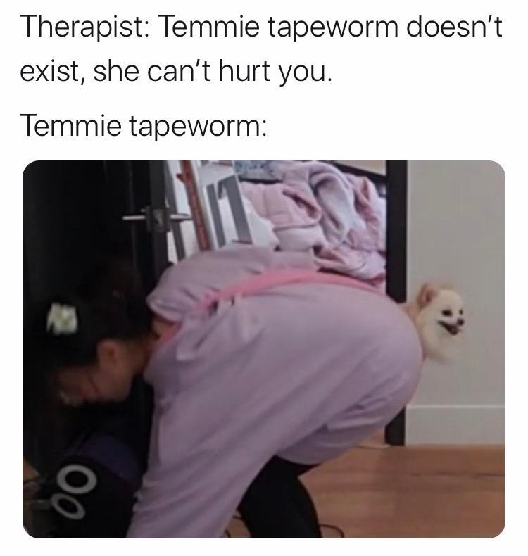 Temmie has evolved | Scrolller