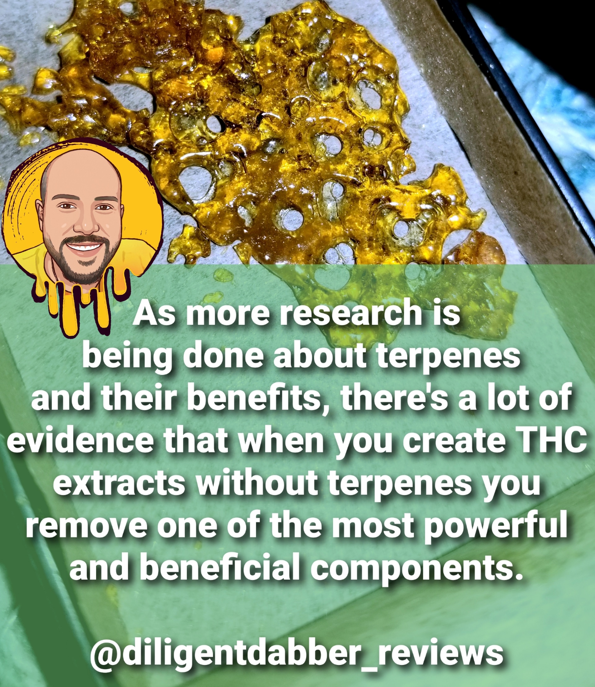 Terpenes Matter! | Scrolller