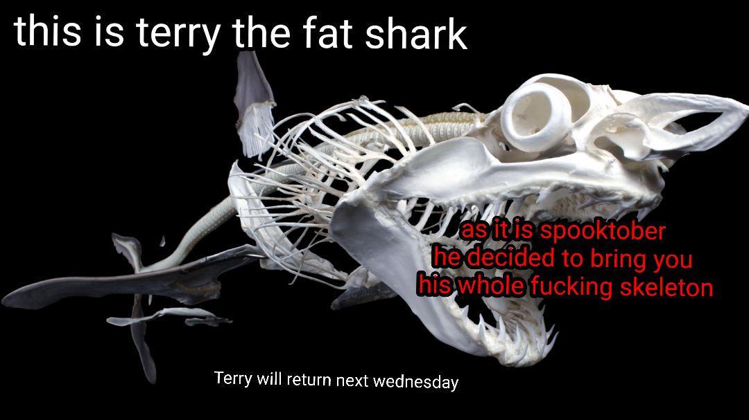 Terry is back | Scrolller