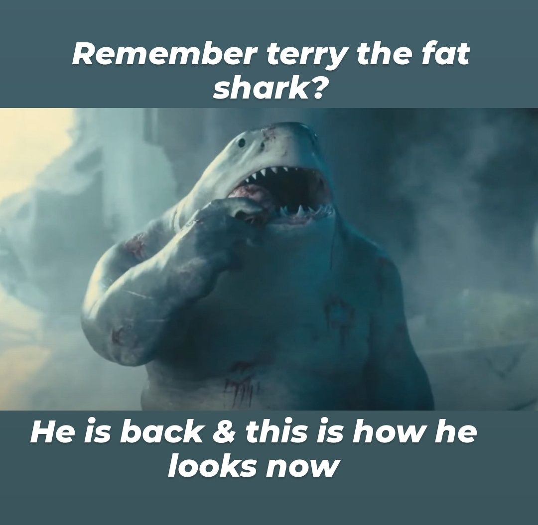 Terry is back in cgi | Scrolller