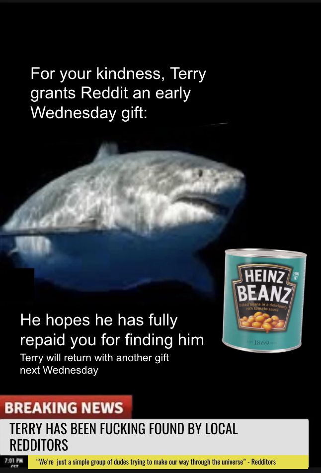 terry is back my guys | Scrolller