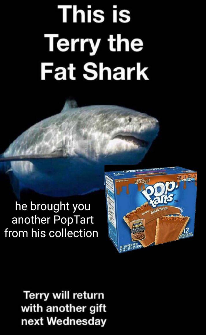 Terry's PopTarts #4 | Scrolller