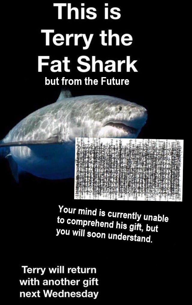 Thank you Terry, very cool | Scrolller