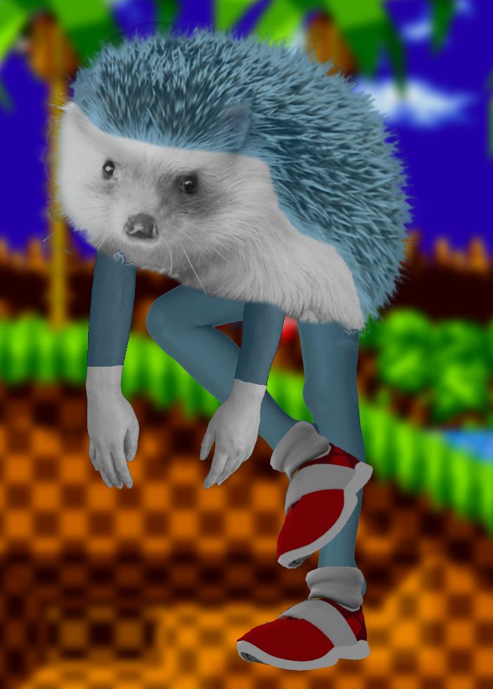 Thanks, I hate realistic sonic | Scrolller