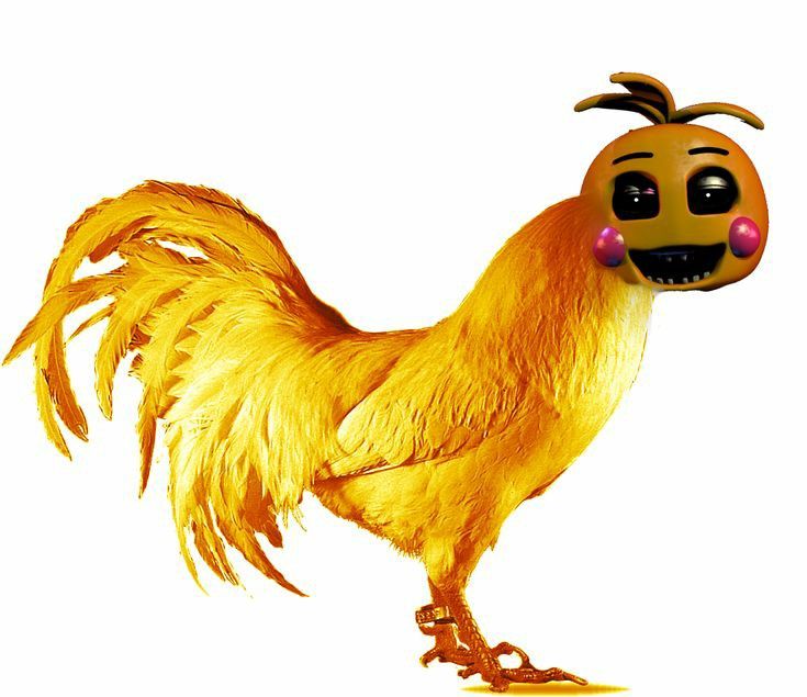 Thanks, I hate realistic toy chica | Scrolller