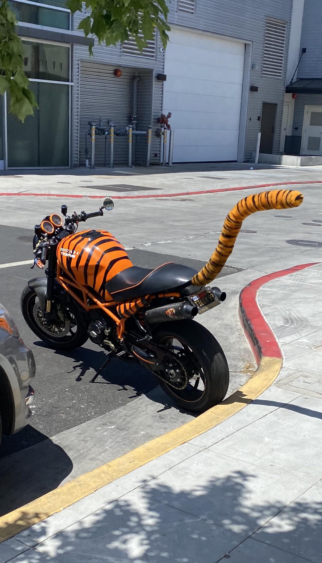 Richie-cycle | Scrolller