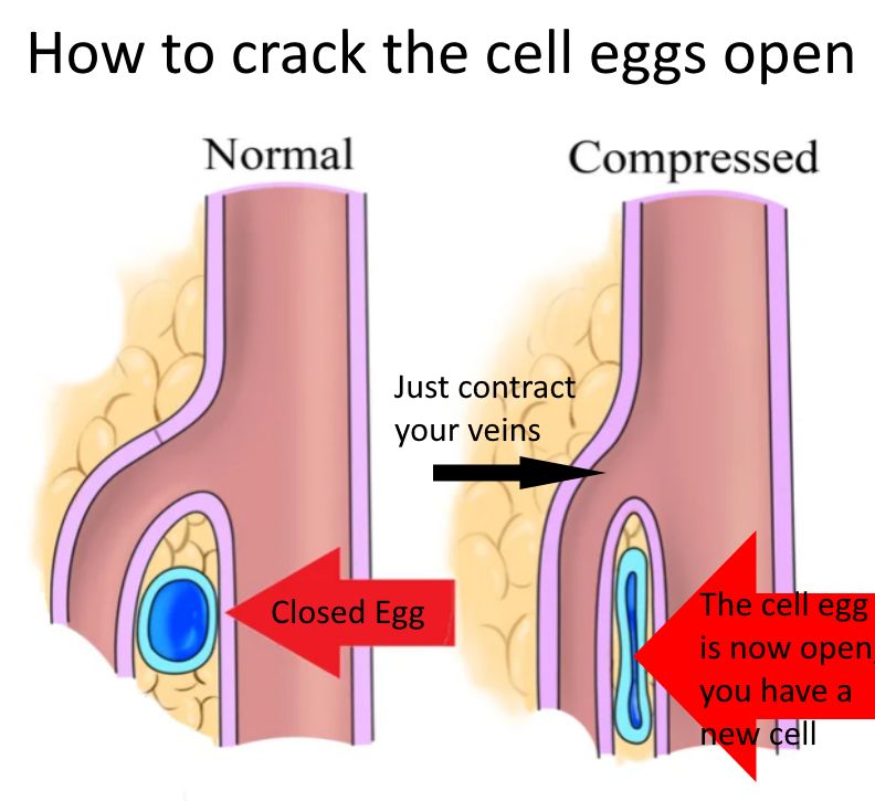 Thanks to this tip I have 1.46 million cells more | Scrolller