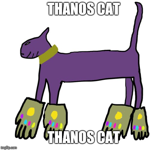 THANOS CAT | Scrolller