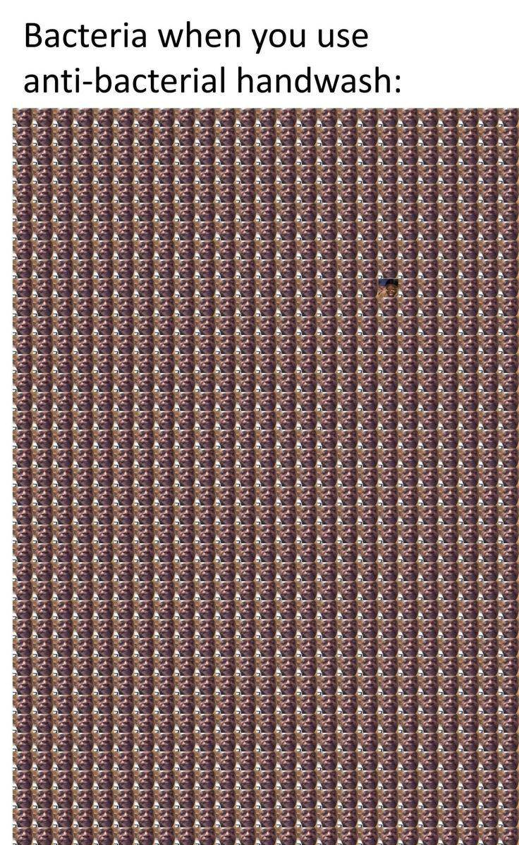 That 1 bacteria | Scrolller