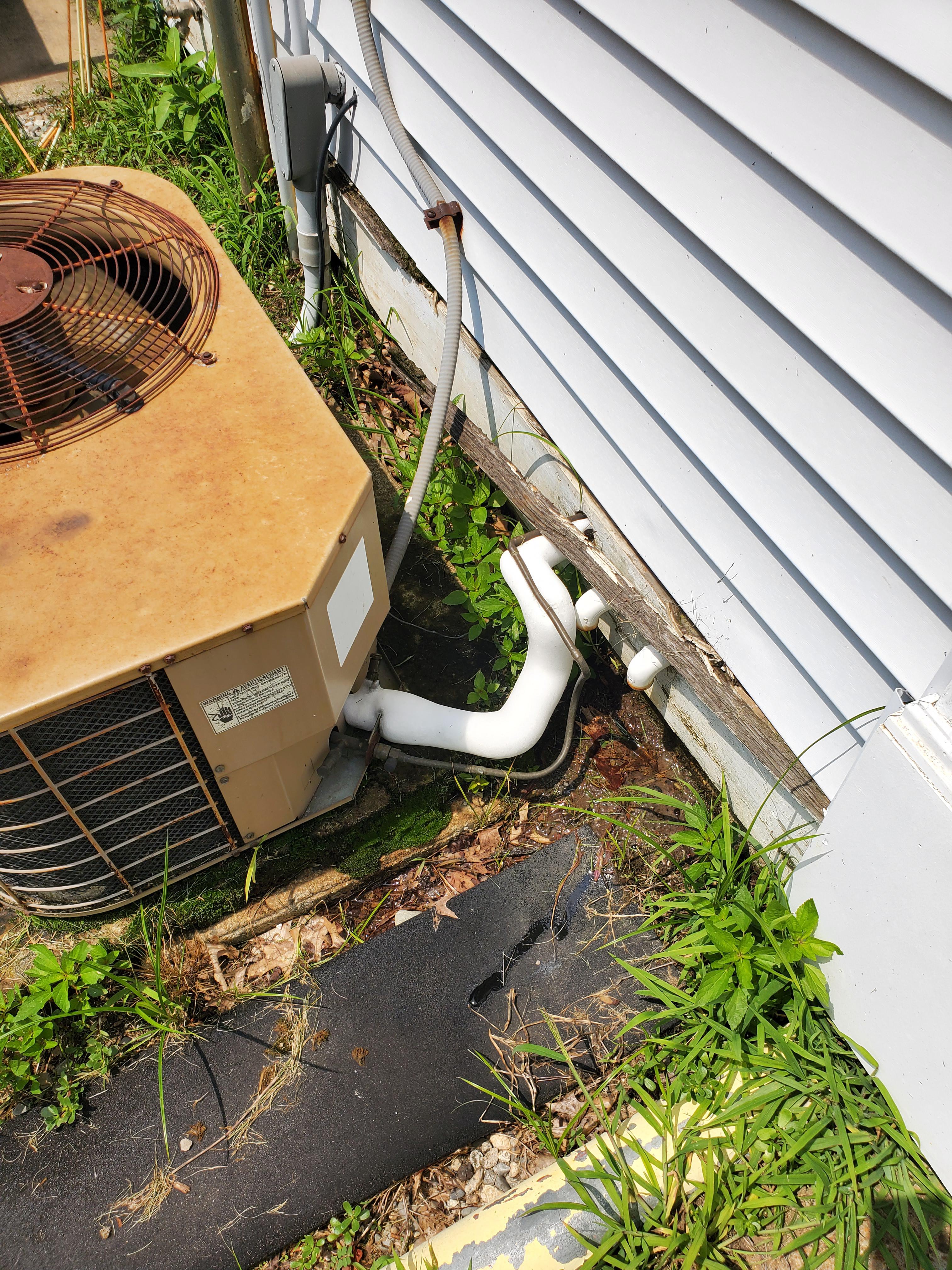 That ain't insulation son. | Scrolller