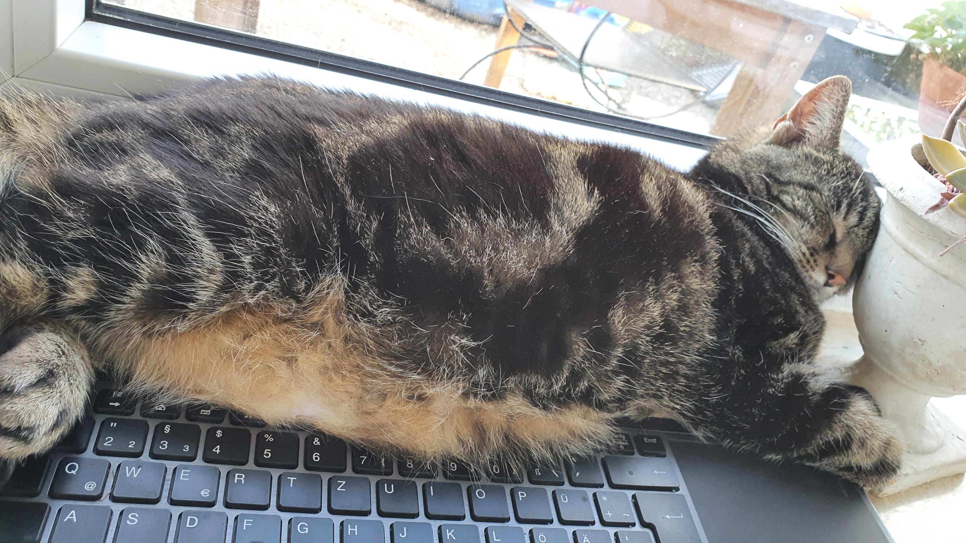 That looks REALLY comfortable | Scrolller