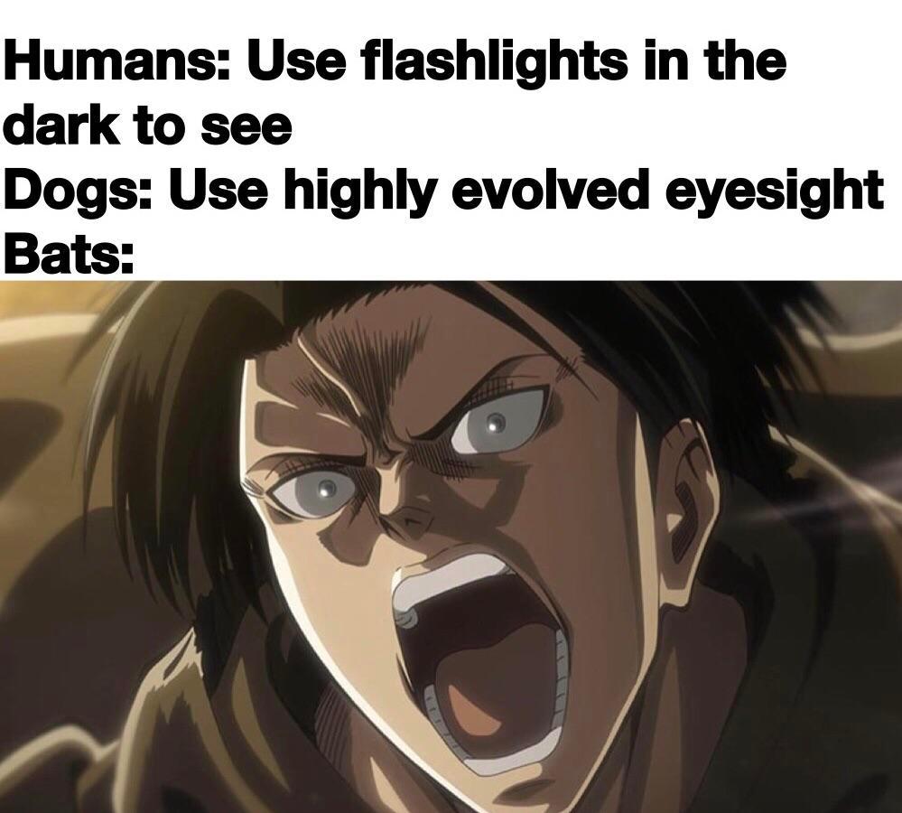 That’s the cooler method | Scrolller