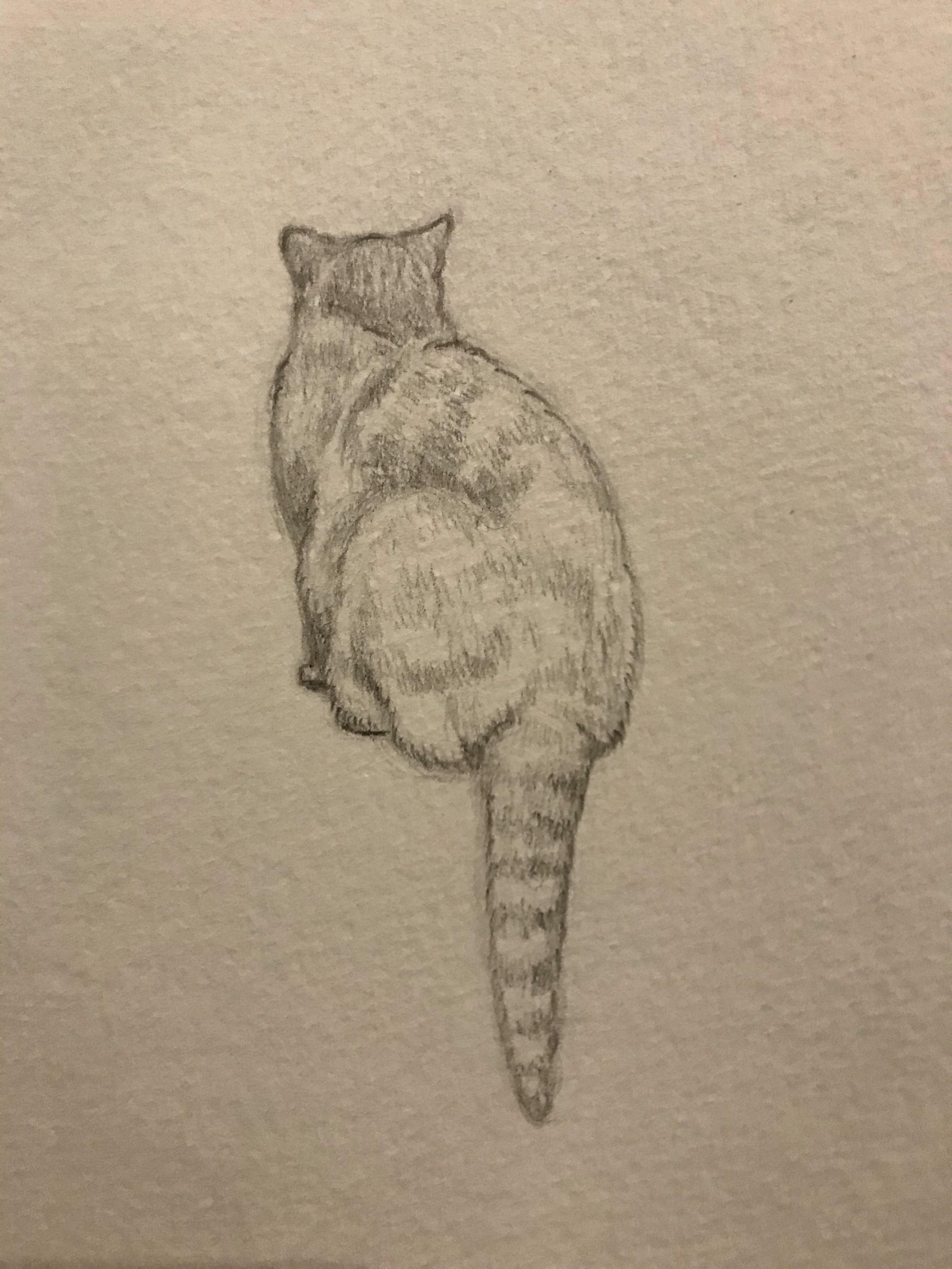 That stubby tail 😂 | Scrolller