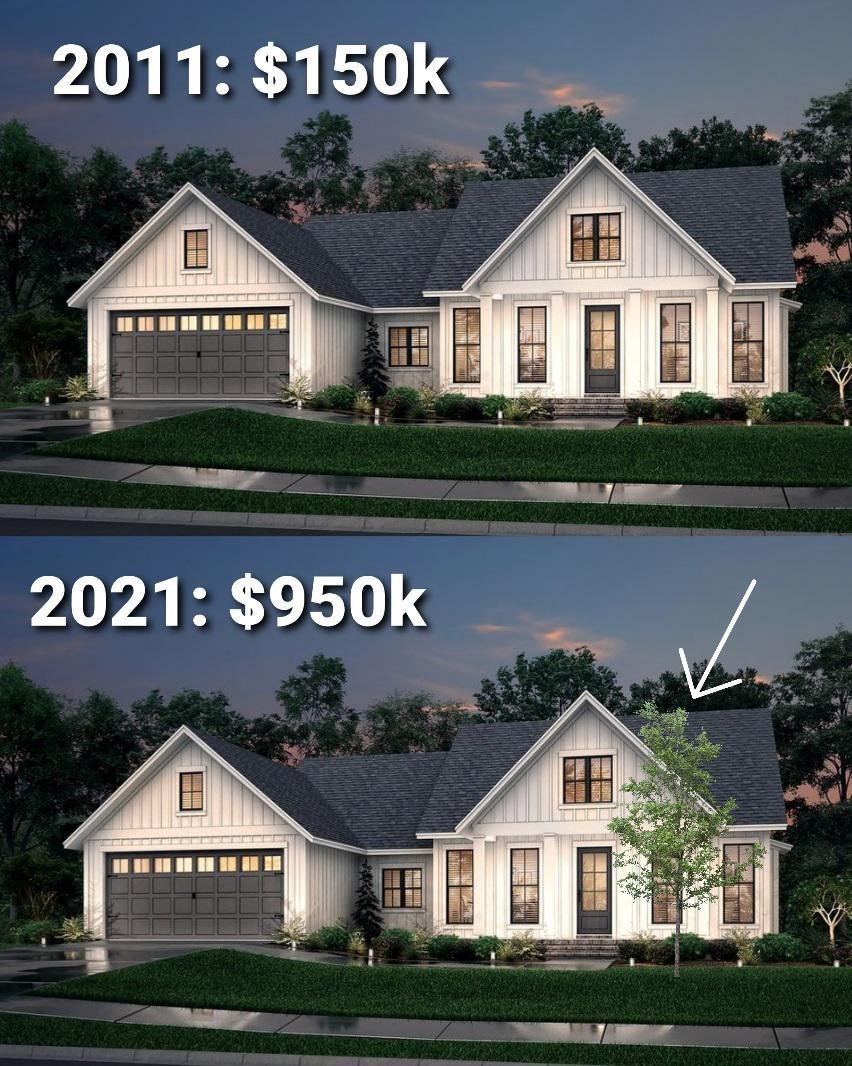 That tree added value | Scrolller