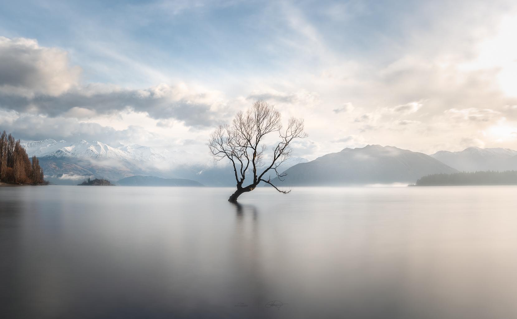That Wanaka Tree, New Zealand [1660 x 1080][OC] IG: @kchayphotos | Scrolller