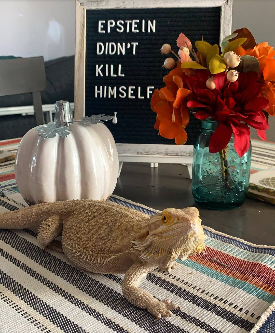 That's a cute animal | Scrolller