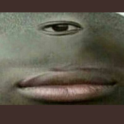 That's AAAAA | Scrolller