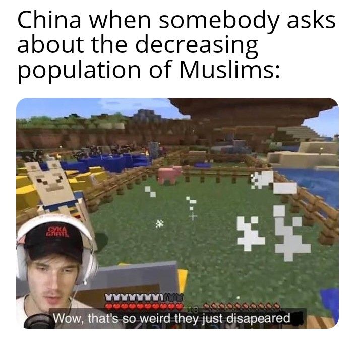 That's so weird | Scrolller