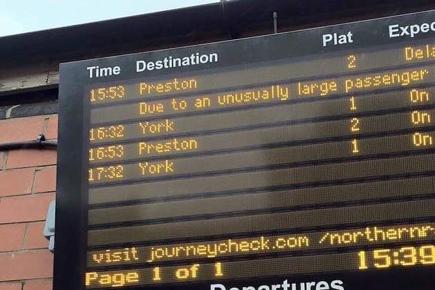 That's unfortunate. | Scrolller