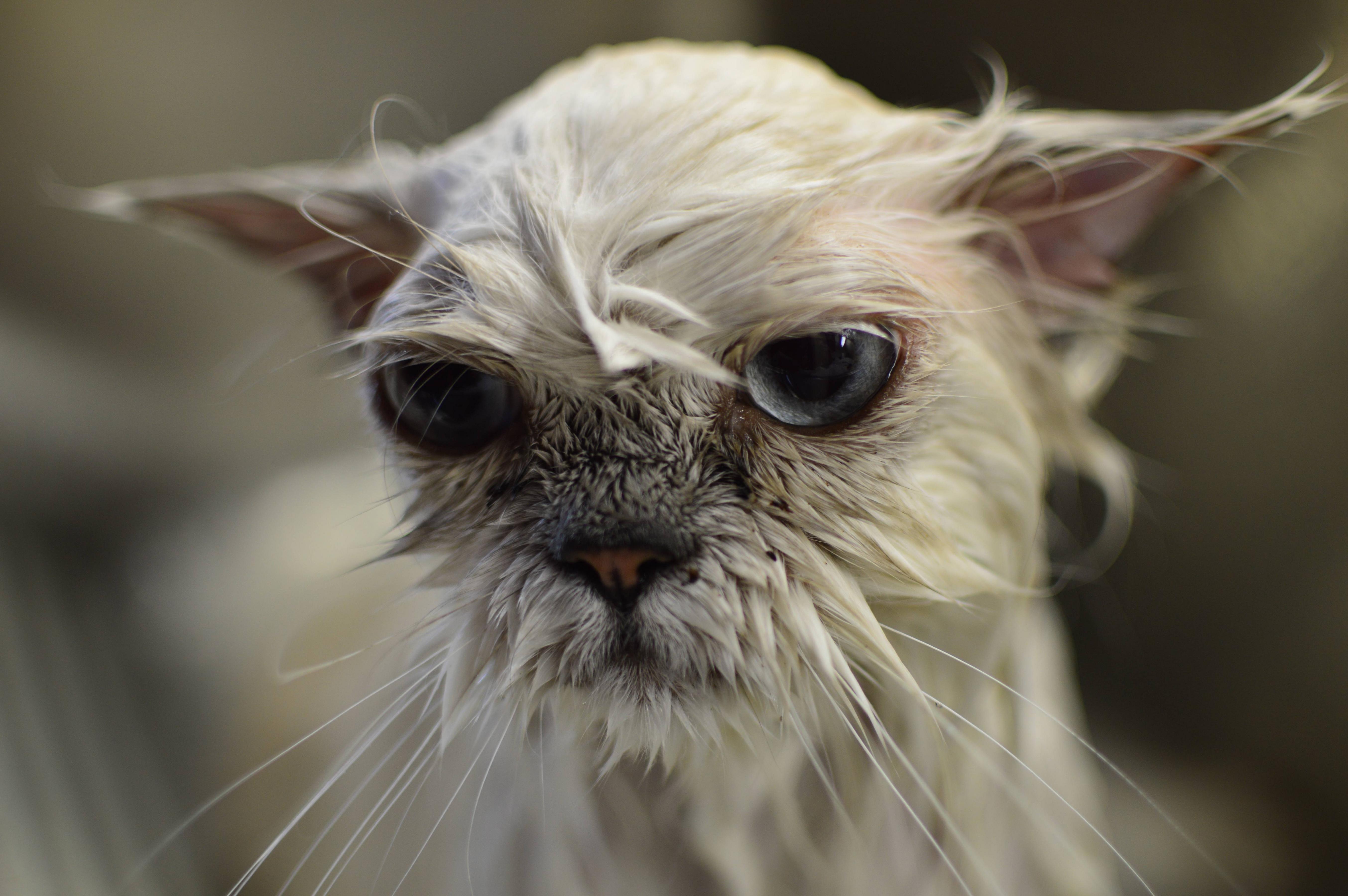 The 1000 yard stare. | Scrolller