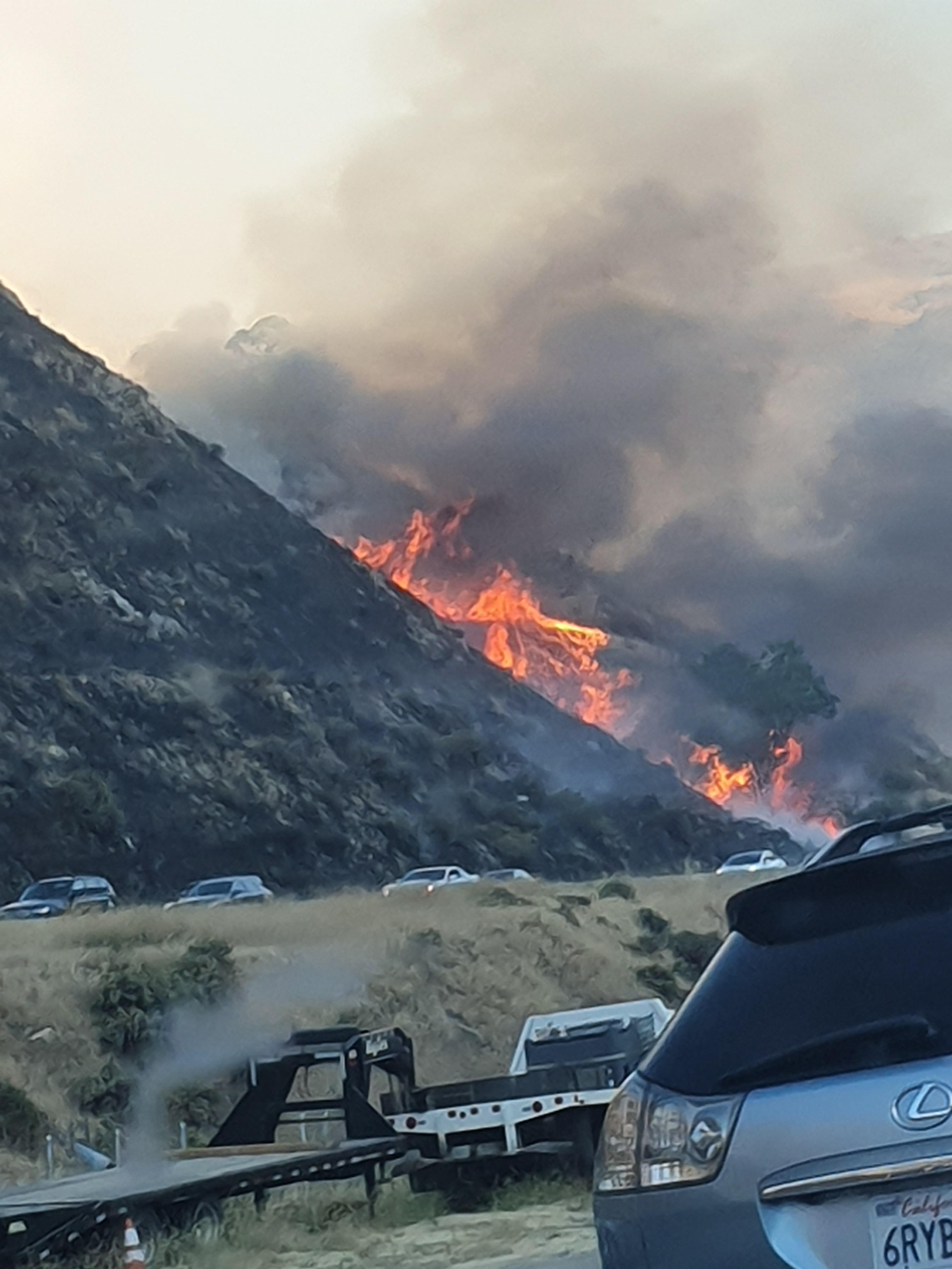 The 5 is lit! | Scrolller