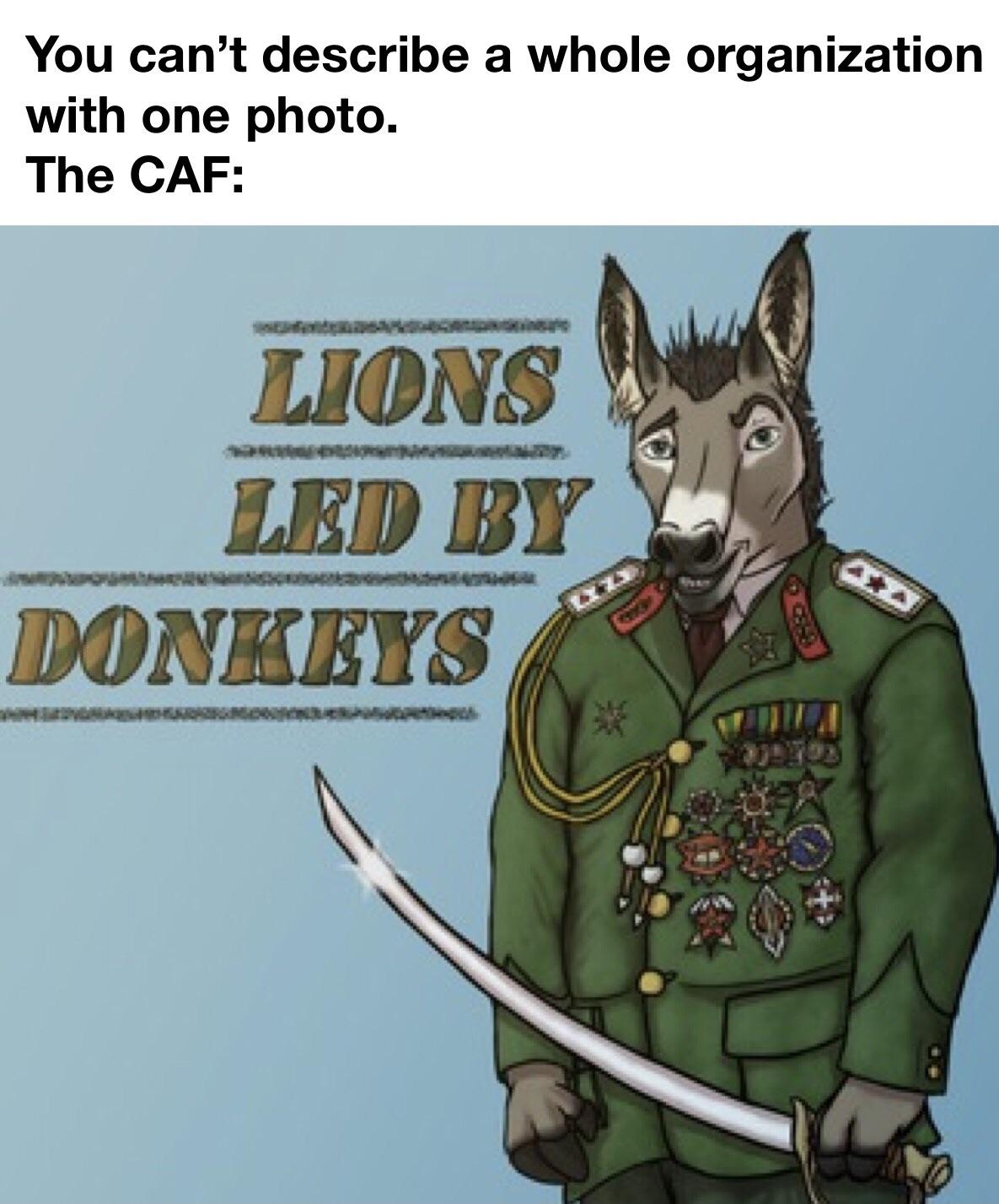 The accuracy hurts so much | Scrolller