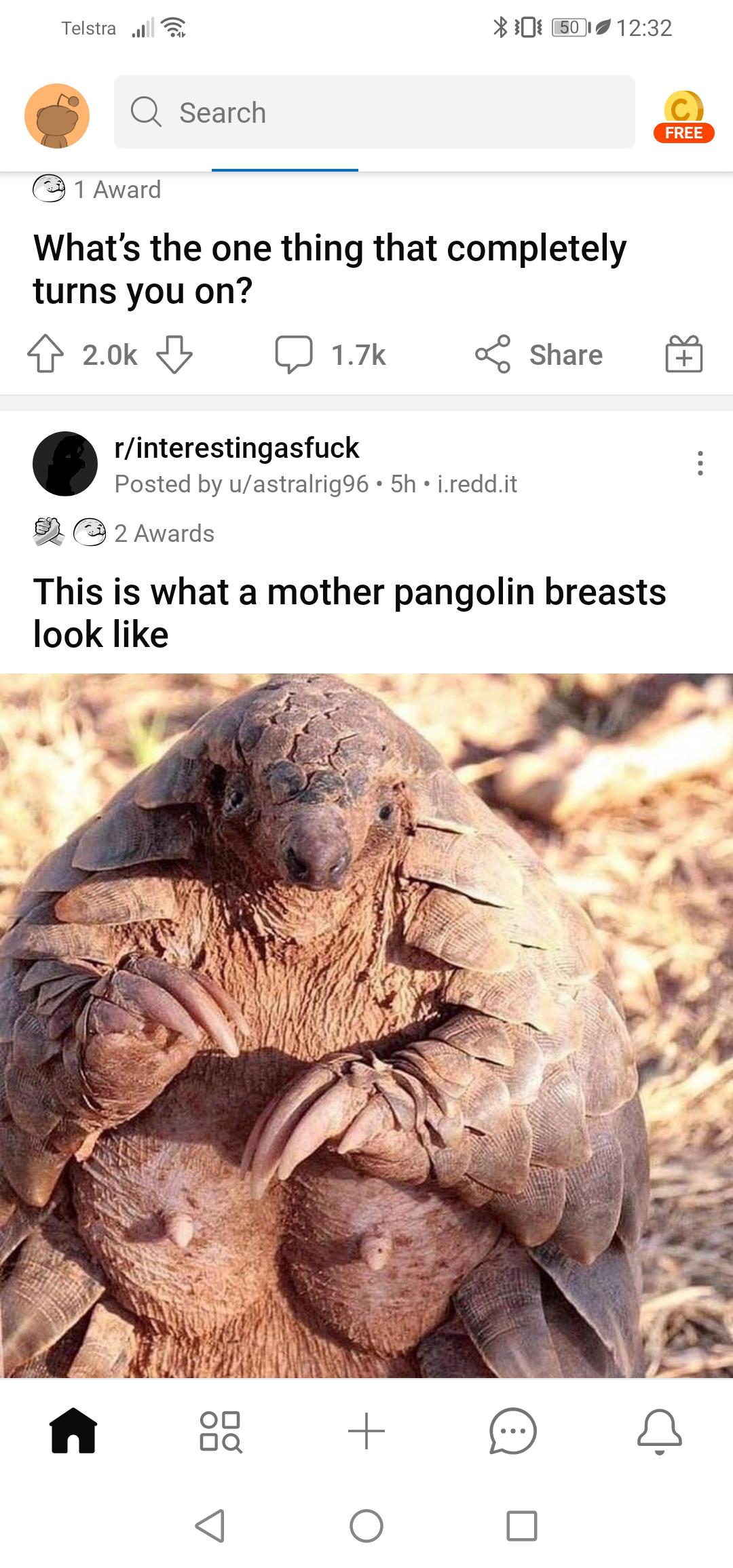 The Algorithm Knows Scrolller