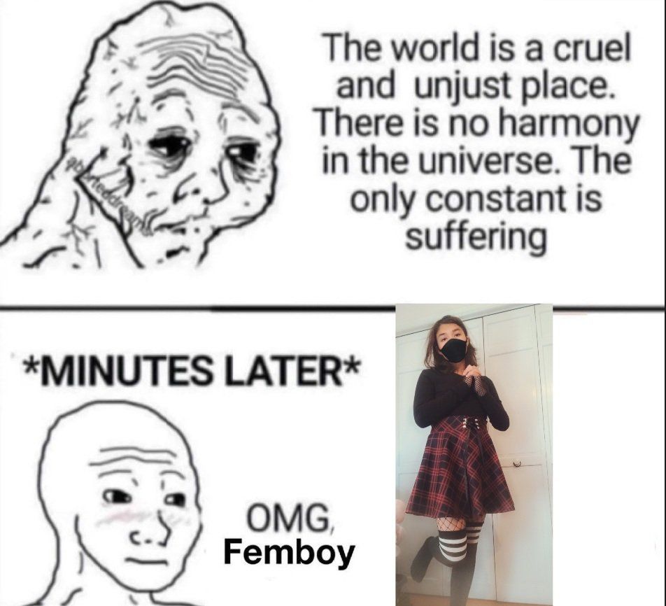 The answer to everything | Scrolller