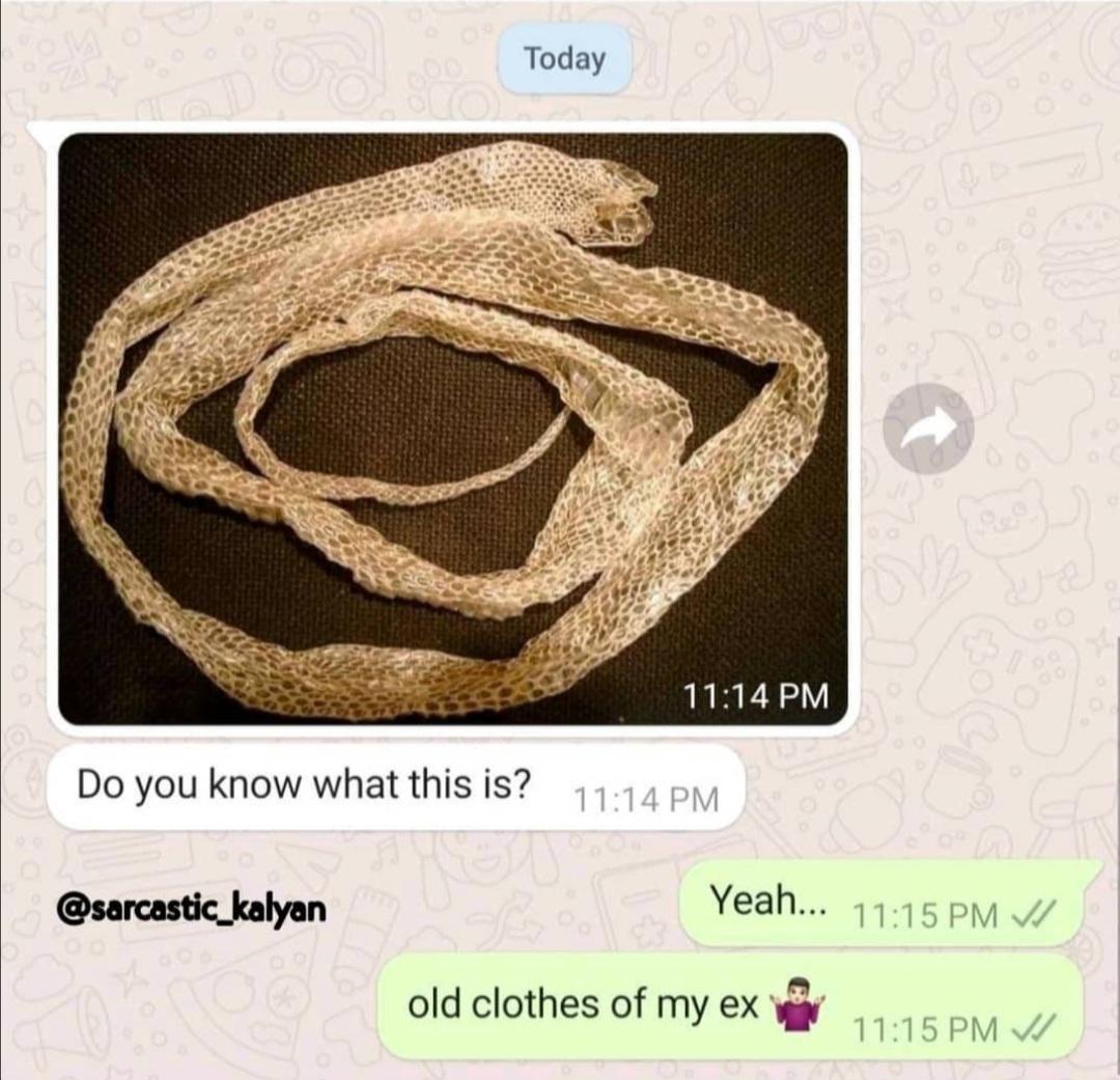 The art of zoo | Scrolller