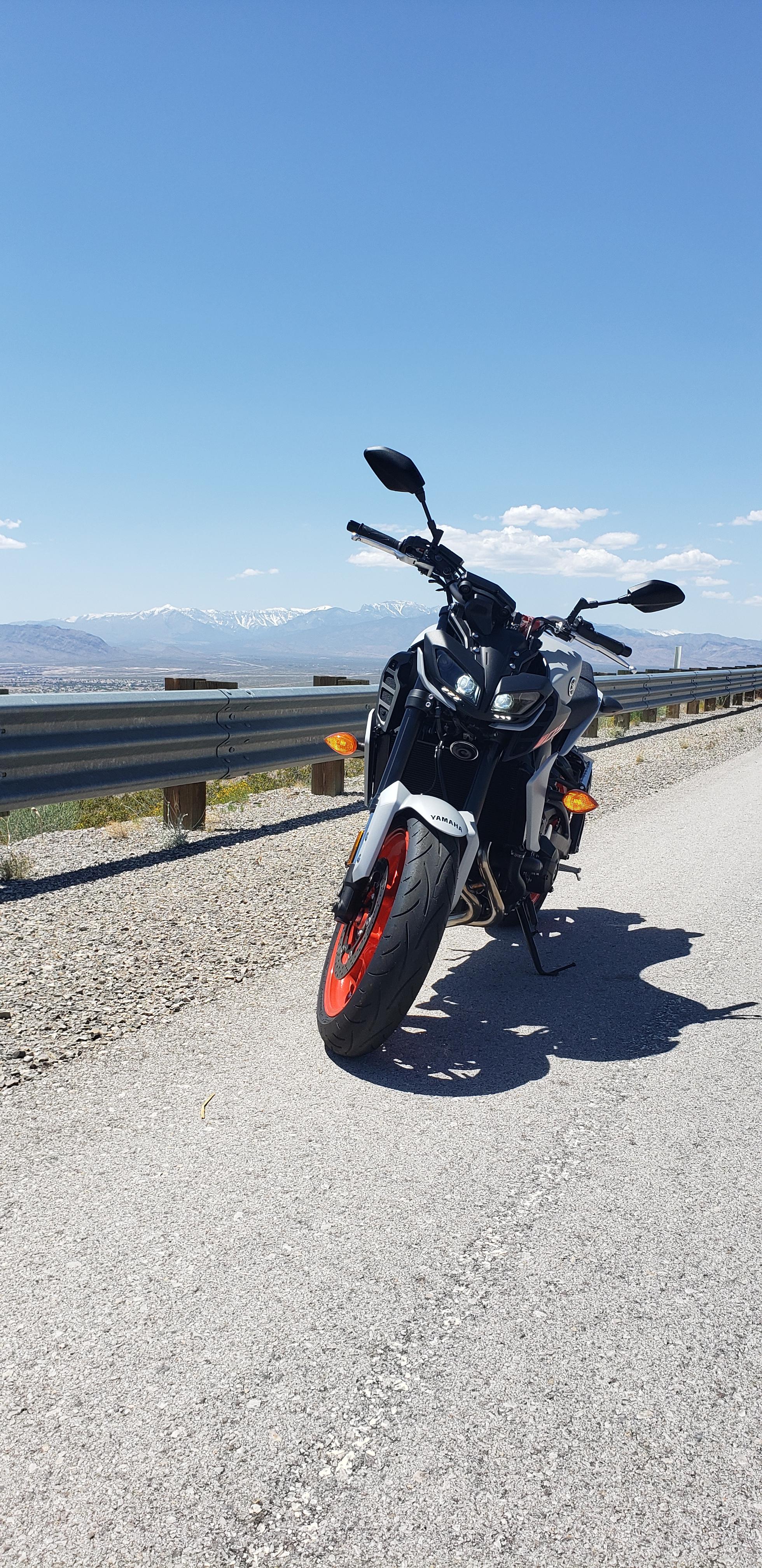 The Beast | Scrolller